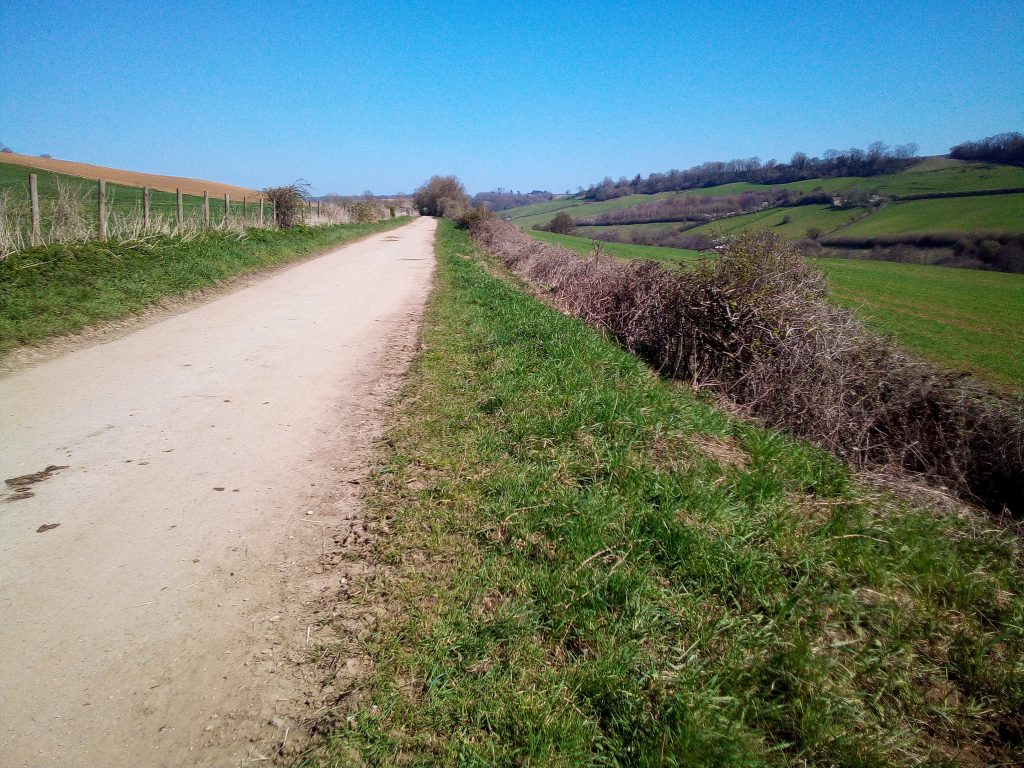Traffic-free Cycling Routes In Somerset - WillCycle